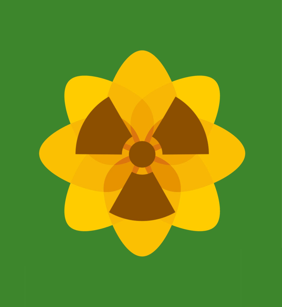 Plaid Cymru and nukes - meltdown mentality - undod
